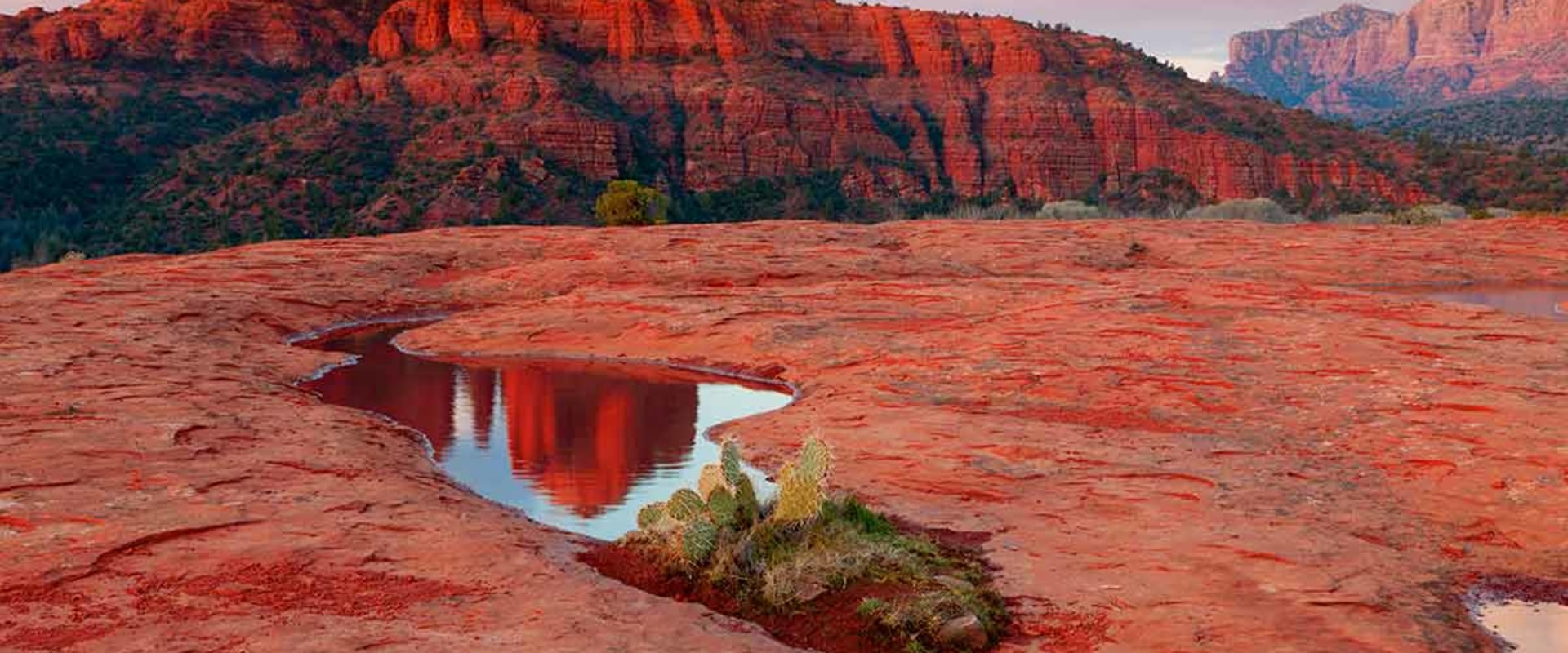 What are 3 things arizona is famous for?